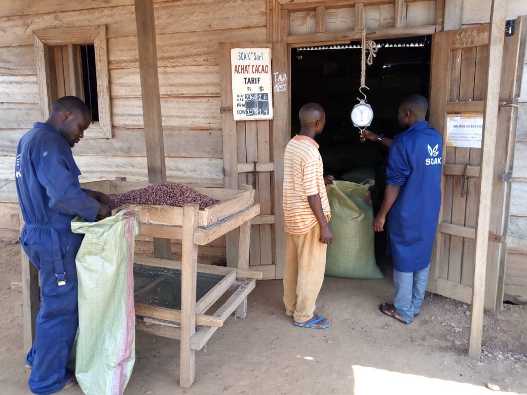 Nos contributions - Scak Congo